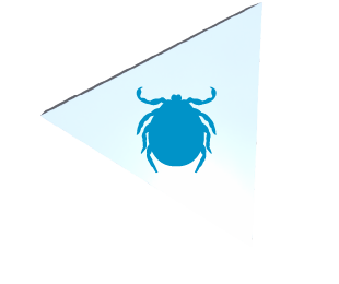 Break Through The Resistance - Global Swine